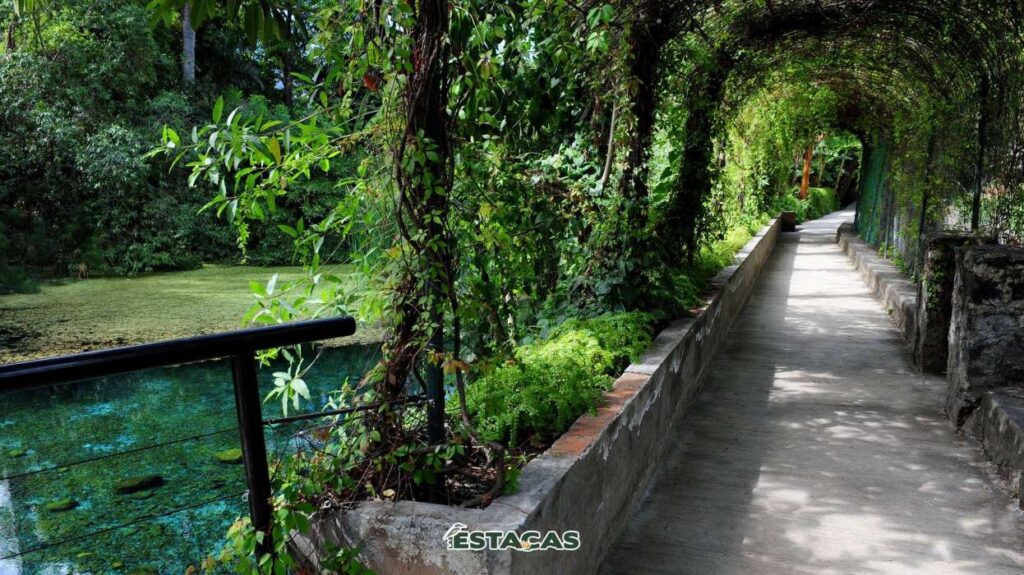 Balneario Las Estacas, un paraíso muy cerca de CDMX (Fotos)