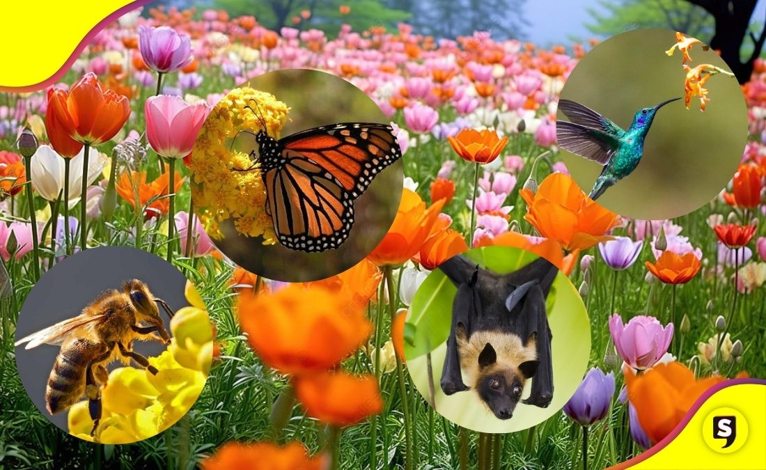 Conoce los detalles de la Semana de los Polinizadores - SubrayadoMx