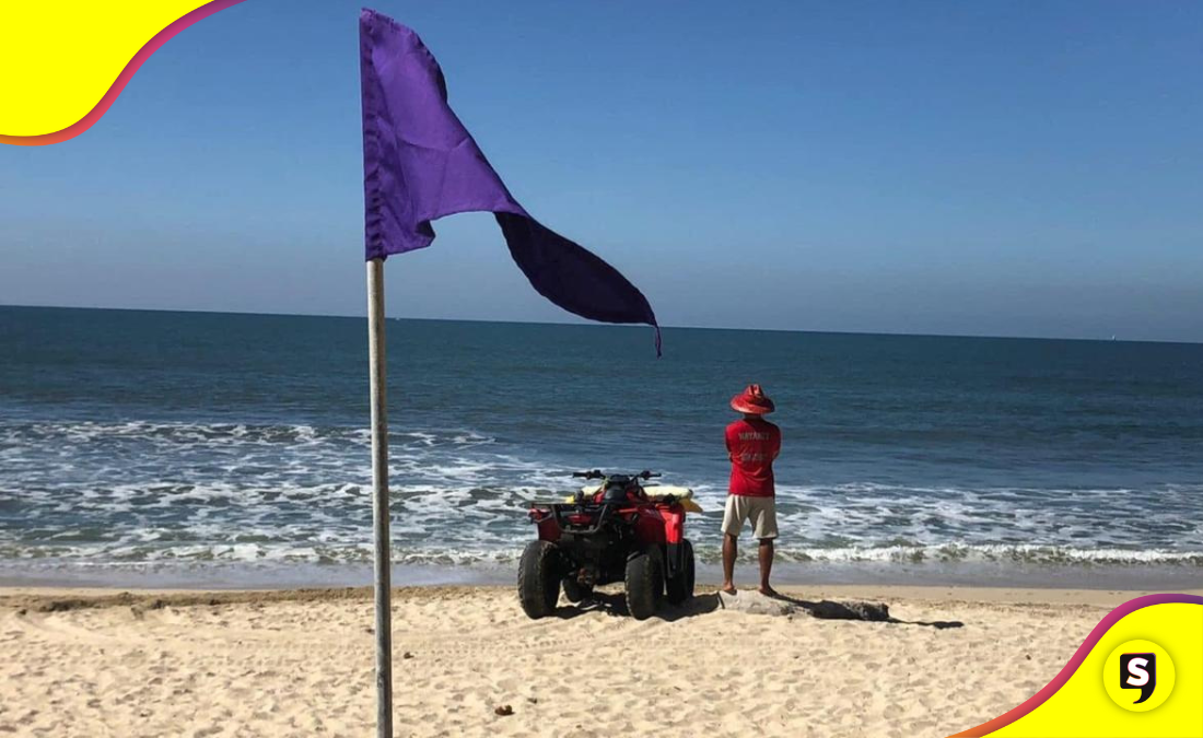 ¡Alerta! ¿Qué significan los diferentes colores de las banderas en la ...